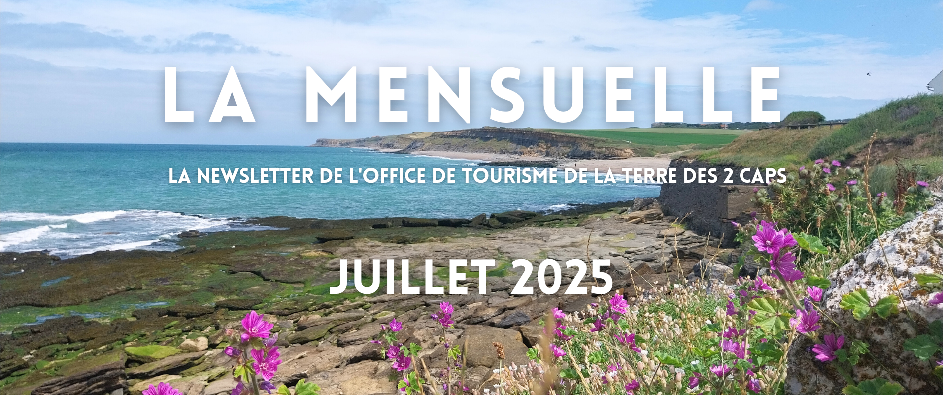 La Mensuelle - Juillet 2025 | Terre des 2 caps Tourisme